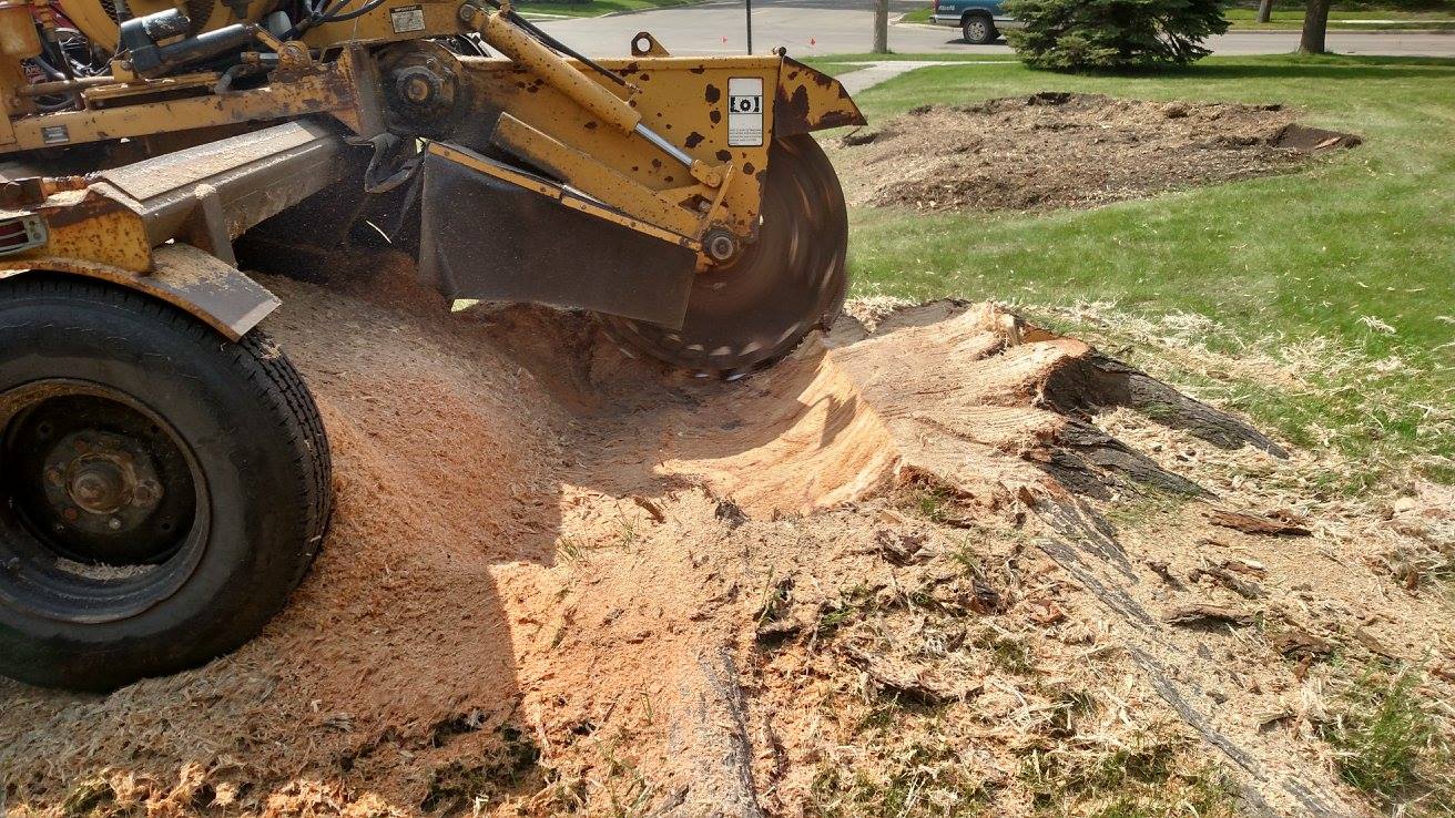 stump removal - Jeremy Michaelson Tree Service